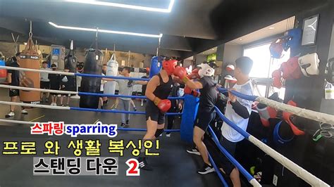 프로 4라운드 생활 복싱인 스파링 스탠딩 다운만 두번 Boxing 권투 스파링 프로복싱 생활복싱 다이어트복싱 챔피언 Youtube