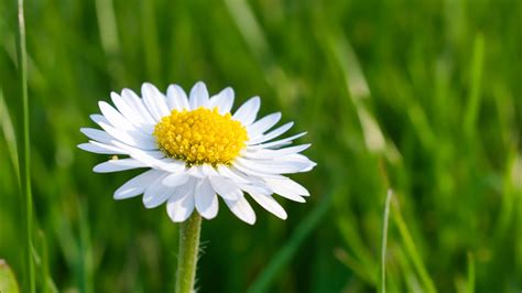 З футболки джинсів та кросівок Як вивести плями трави з одягу та взуття Читайте на Ukr Net