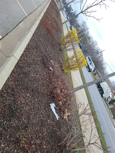 Mark Eichenlaub On Linkedin Propertymanagement Portering Powersweeping Facilitymanagement