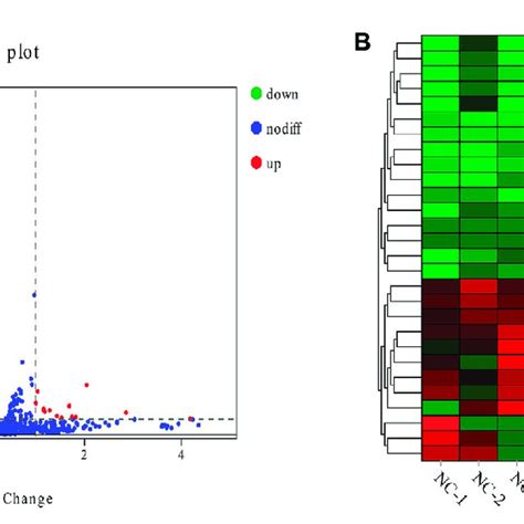 Statistical Analysis Of De Mirna A The Expression Of Mirna Volcano
