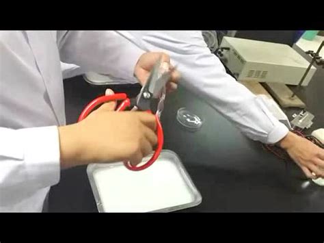 坐骨神经 腓肠肌标本的制备 高清1080P在线观看平台 腾讯视频