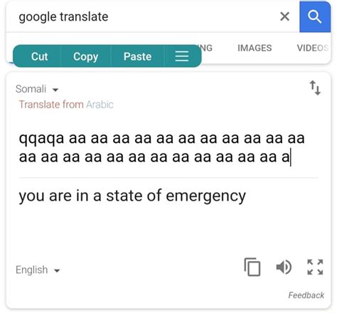 Google Translate X We IMAGES VIDEO Cut Copy Paste Somali Un