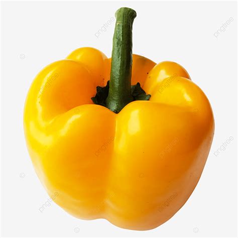 노란색 파프리카 고추 음식 배경 Png 일러스트 및 Psd 이미지 무료 다운로드 Pngtree