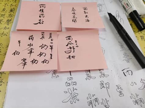 每日小练习小小旭插画 站酷zcool