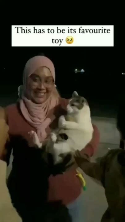 Lenka Love On Linkedin 💚💚💚cuteness Overloaded 💚💚💚 For More Videos