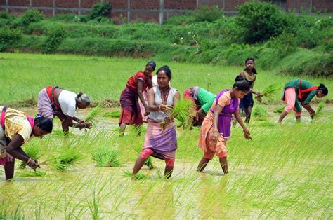 Mahesh Vyas Over To The Rain Gods To Lift Consumer Mood Business