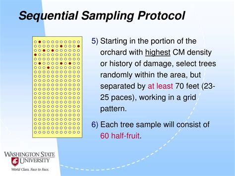 Ppt Codling Moth Orchard Sampling Protocol Powerpoint Presentation