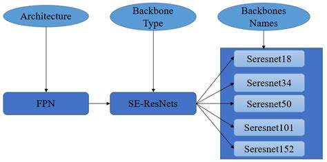 Architecture Backbone Type And Backbones Names Download Scientific Diagram