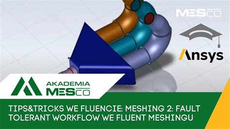 07 Tipsandtricks We Fluencie Meshing 2 Fault Tolerant Workflow We