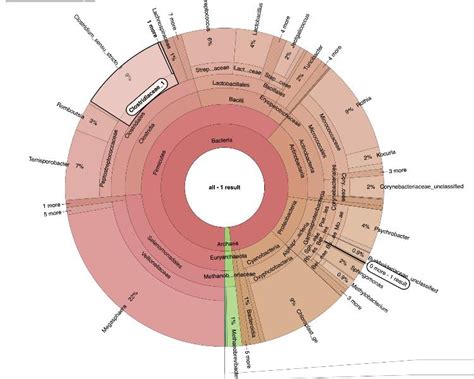 Hiba Jabri On Linkedin Bioinformatics Analysis Of 16s Rrna Sequencing Data Provide An…