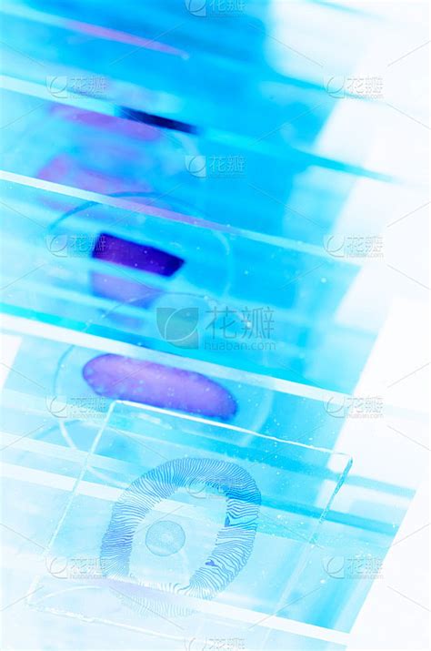 科学显微镜载玻片的特写