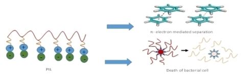 Single‐step Synthesis Of Novel Polyionic Liquids Having Antibacterial Activity And Showing π