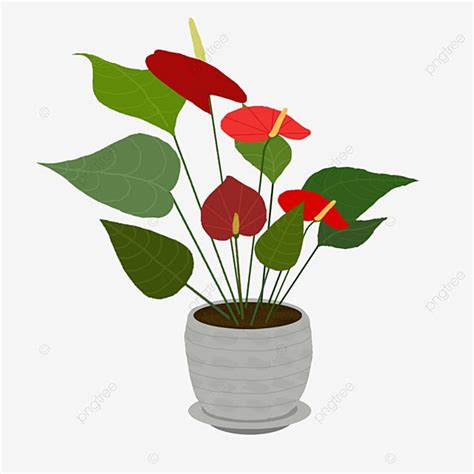Anthurium Clipart Vector Anthurium Andraeanum Hand Painted