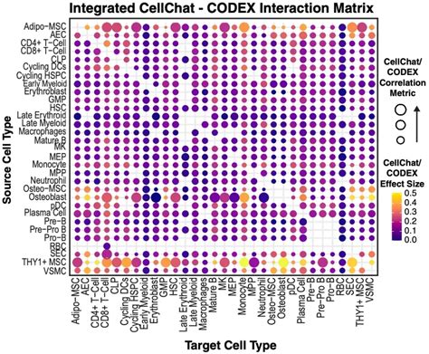 Cell：如何升华你的单细胞数据——phenocycler Fusion空间单细胞蛋白组学（简称pcf 原codex）联合scrna Seq解析骨髓微环境 知乎