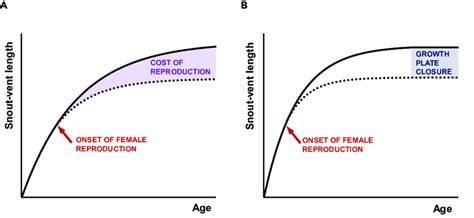 Traditional And Revised Models Of Growth And Ontogeny Of Sexual Size Download Scientific