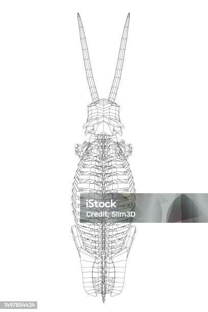 고립된 흰색 배경에 와이어프레임 맘모스 해골의 벡터 그림 흰색 배경에 있는 매머드의 벡터 선사 시대 와이어프레임 골격 격리된 그림 0명에 대한 스톡 벡터 아트 및 기타