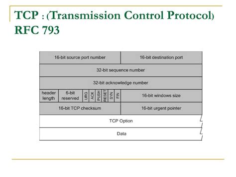 PPT Review TCP IP PowerPoint Presentation Free Download ID 3314668
