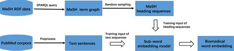 Schematic Of Learning Word Embedding Based On Pubmed Literature And Mesh Download Scientific
