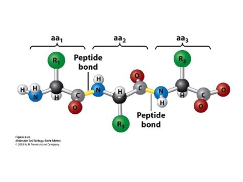 Lecture 4 Barometric Formula And The Boltzmann Equation