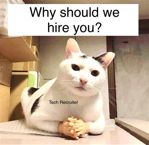 Tech Recruiters Rrecruitinghell