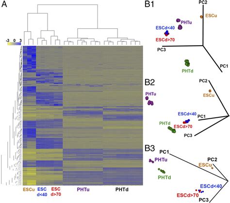 Clustering And Heatmap Analysis A And Principal Component Analysis Download Scientific