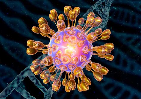 Herpes Simplex Virus Vircell