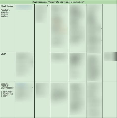 Bacteria Staphylococcus Diagram Quizlet