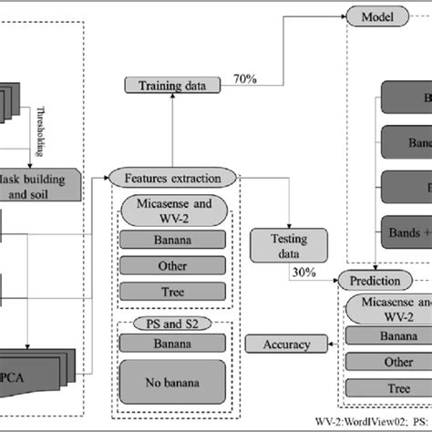 The Workflow Of Multispectral Image Based Banana Classification Bis Download Scientific