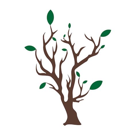 Premium Vector Set Tree Leaf Illustration Vector