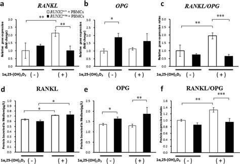 Runx2 Mutation Affects The Modulation Effect Of 1α25 Oh 2 D 3 On