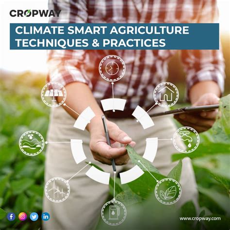 Decoding Climate Smart Agriculture Cultivating A Sustainable Future