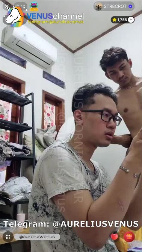 Indo Live Tevi Ganteng