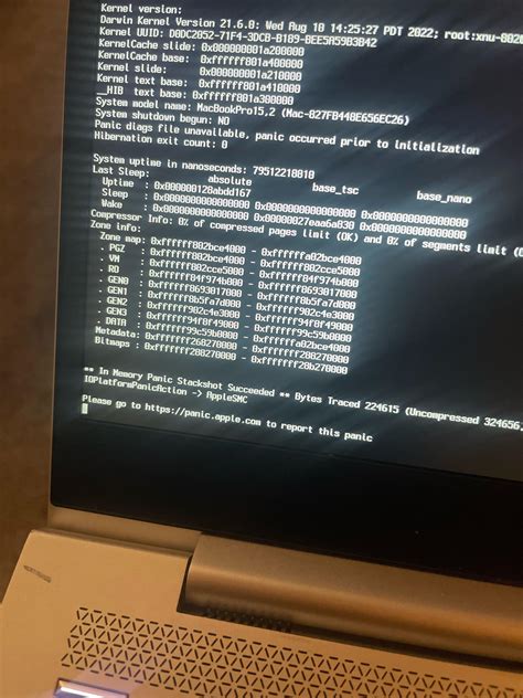 Memory Panic Rhackintosh