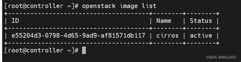 openstack云计算平台 镜像服务 openstack 镜像是什么 csdn博客