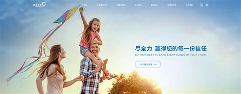 康圣环球医疗集团网站建设 唯引互动