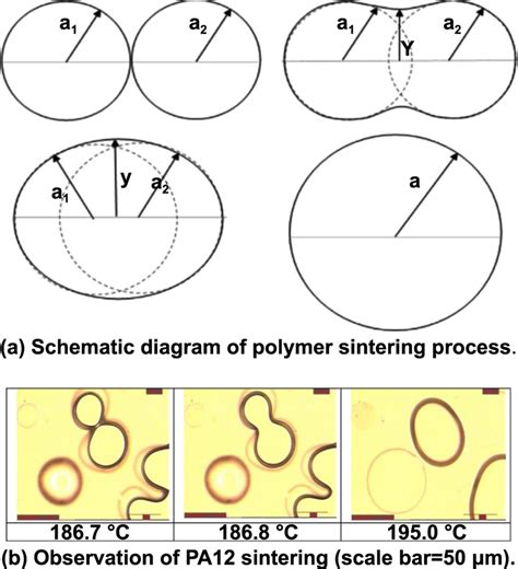 Coalescence Process Of Two Particles Reprinted From [21] Copyright
