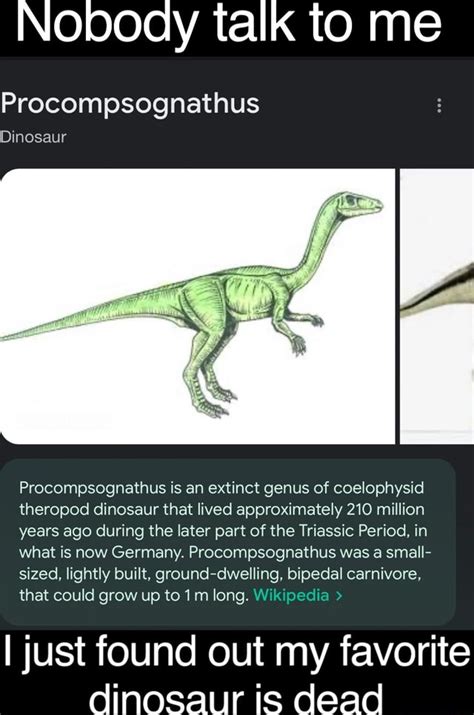 Noboay Talk To Me Procompsognathus Dinosaur Procompsognathus Is An Extinct Genus Of Coelophysid Noboay Talk To Me Procompsognathus Dinosaur Procompsognathus Is An Extinct Genus Of Coelophysid