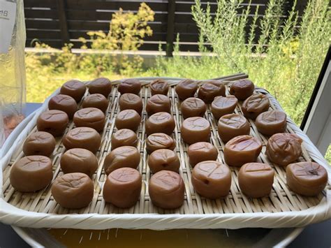 梅干しの土用干しをしました ｜ 共働き夫婦の時短キッチン