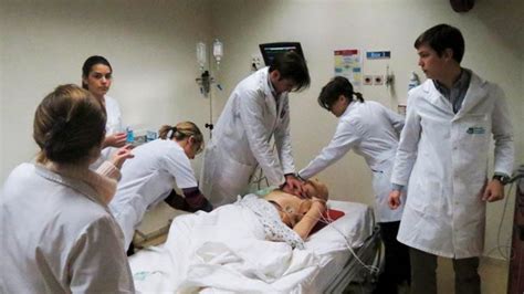 Los Estudiantes De último Año De Enfermería Y Medicina Retomarán Sus