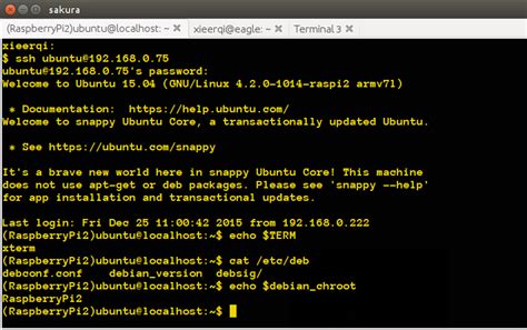 R How To Draw Hierarchical Clustering Stack Overflow