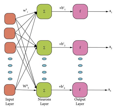 Single Layer Network With Rs Neurons Download Scientific Diagram