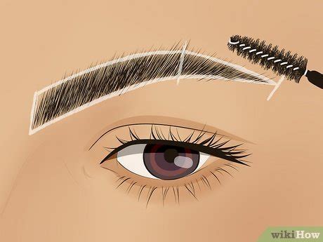 How To Shape Eyebrows Before Waxing 15 Steps With Pictures