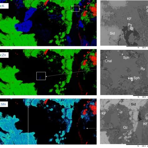 Synchrotron Xray Fluorescence Microscopy Download Scientific Diagram
