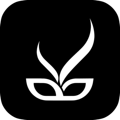 Hassib Moddasser Software Engineer