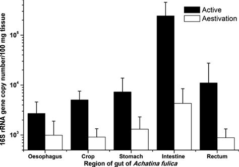 Qpcr Analysis Of Total Bacterial Load In The Different Gi Tract Regions Download Scientific