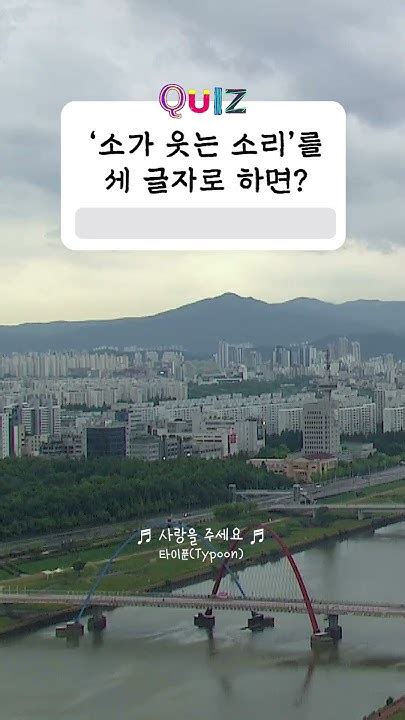 ‘소가 웃는 소리를 세 글자로 하면 Youtube