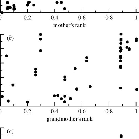 Matrilineal Inheritance Of Female Dominance Rank Relative Rank Is