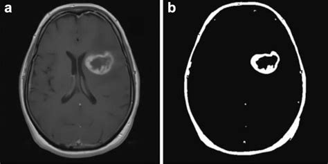 A Input Image B Transformed Image Download Scientific Diagram