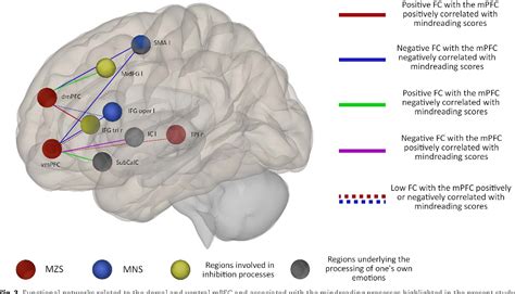 Figure 3 From Functional Connectivity Of The Medial Prefrontal Cortex Related To Mindreading