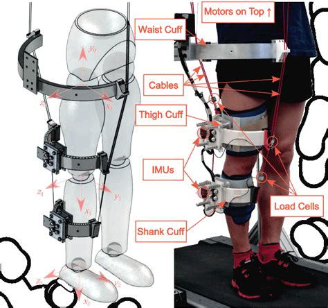 Powered Exoskeleton Research